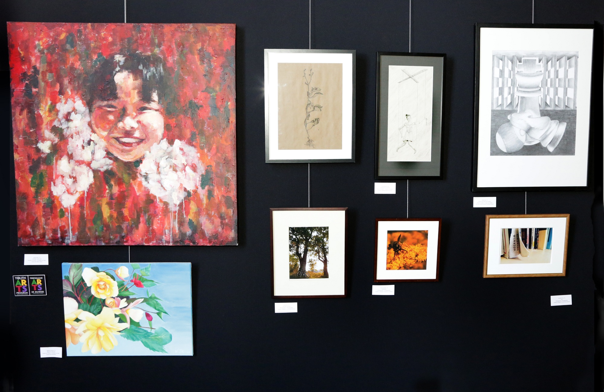 Paintings, drawings and photography by student artists in the 2013 ...